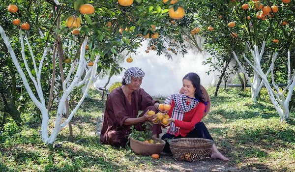 Fruit Farming Tips For Beginners - To Agriculture