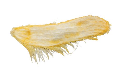 How to Grow a Mango Tree from Seed: A Beginner's Guide