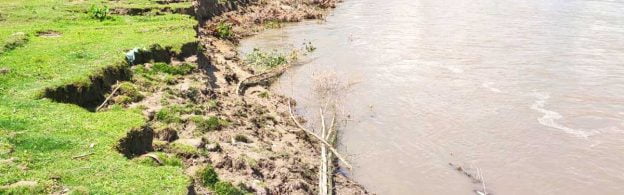 A Guide to Types of Soil Erosion: Causes and Prevention