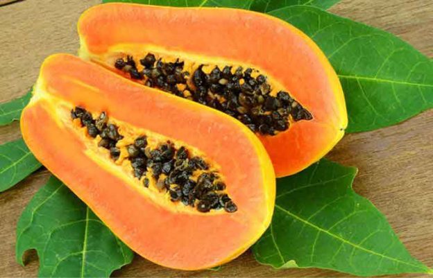Papaya Varieties Unveiled: Exploring the Diversity of Types