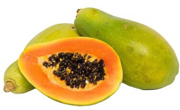 Papaya Varieties Unveiled: Exploring the Diversity of Types