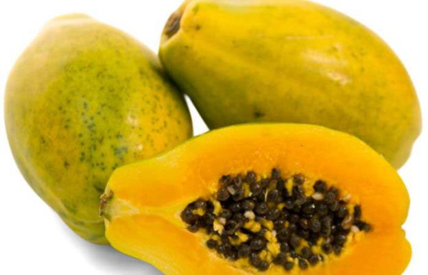 Papaya Varieties Unveiled: Exploring the Diversity of Types