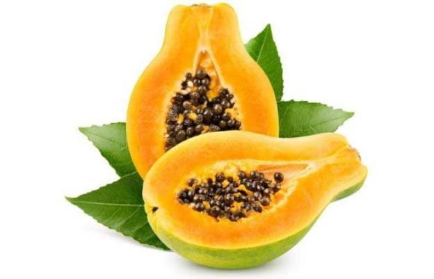 Papaya Varieties Unveiled: Exploring the Diversity of Types