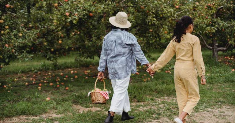 How to Start Apple Farming: A Beginner's Guide-ToAgriculture