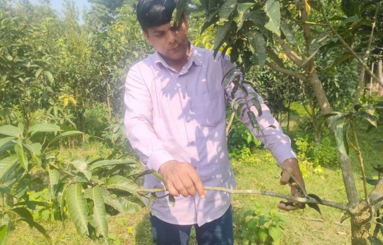 Pruning Methods - ToAgriculture