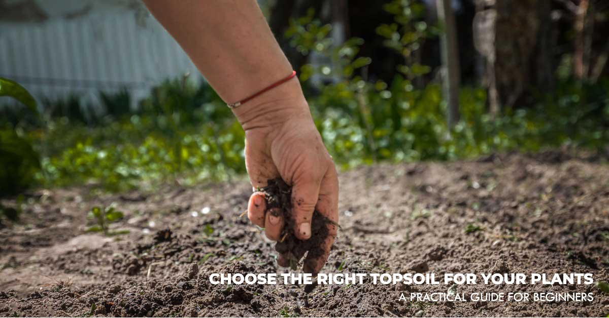 How to Choose the Right Topsoil for Your Plants - ToAgriculture
