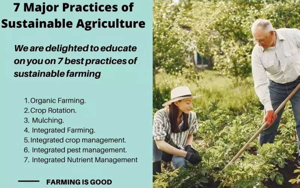7 Sustainable Farming Practices for a Greener Future - ToAgriculture