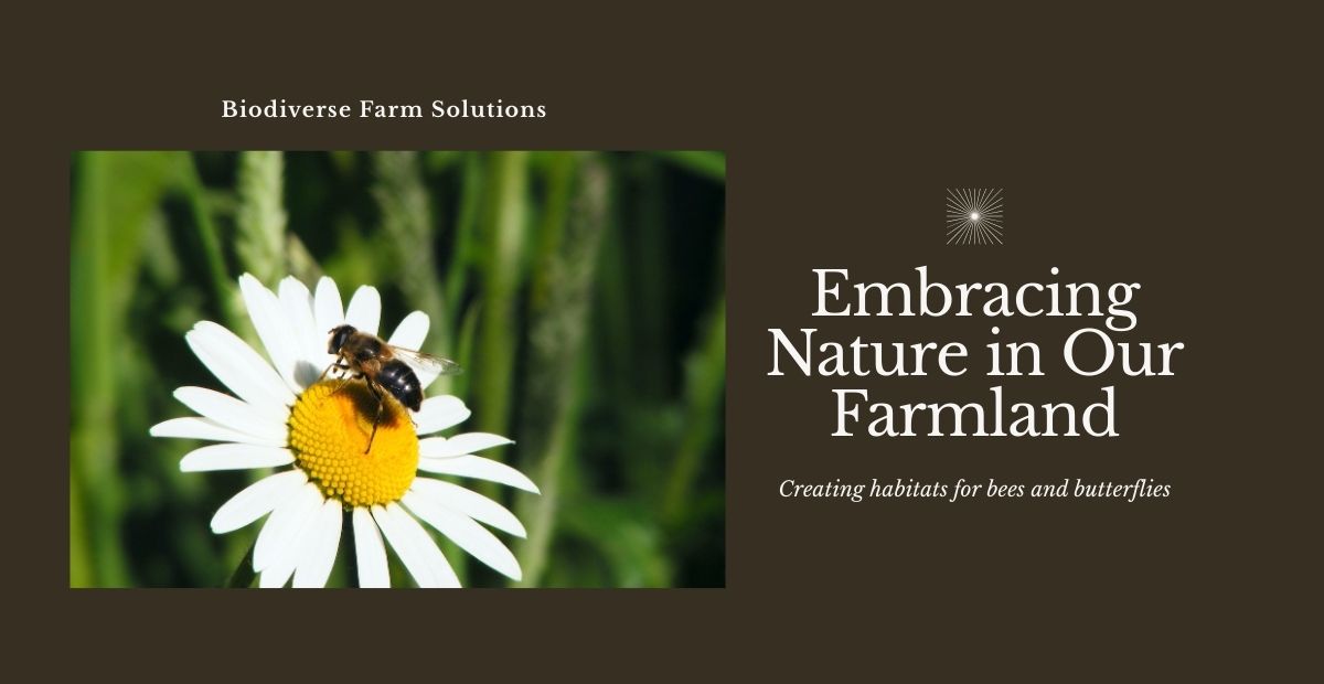 Creating Pollinator Habitats: A Step-by-Step Farm Guide - ToAgriculture
